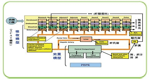 GastroPlus 模块功能简介_模型_参数_药物