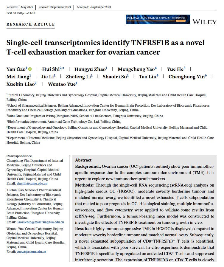 【妇产学术】岳文涛教授团队在JCR Q1区期刊《Clin. Transl. Med》发表文章_研究_细胞_北京市
