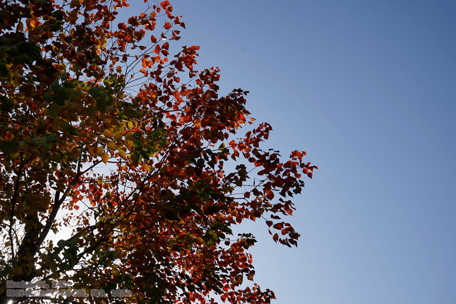 走路遛弯洗袜子（20231107）_同志_同事_冲剂