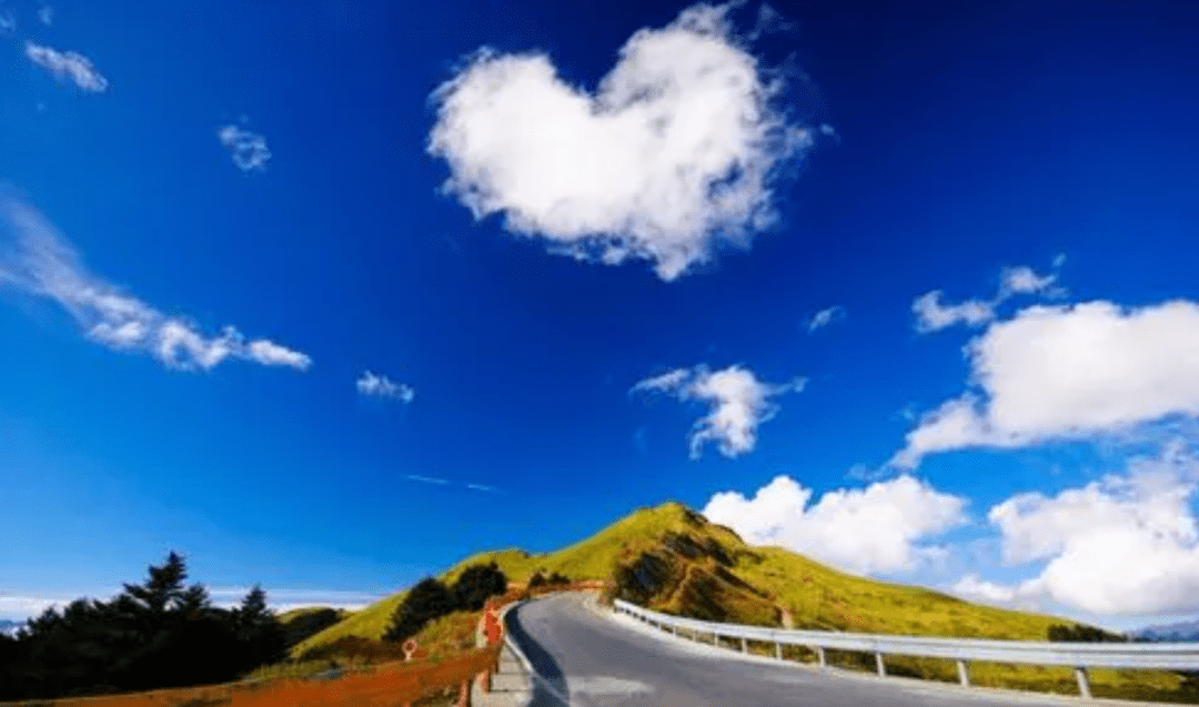 美文站｜第七篇 When Love Beckons You ：干货满满！晨读跟英语积累必备！！_But_north_句型