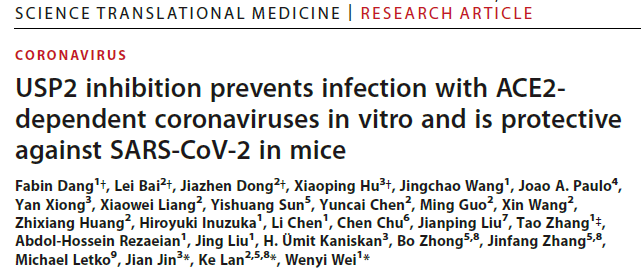 Sci Trans Med | 魏文毅/蓝柯/金坚等团队合作揭示广谱抗冠状病毒新策略 _研究_细胞_治疗