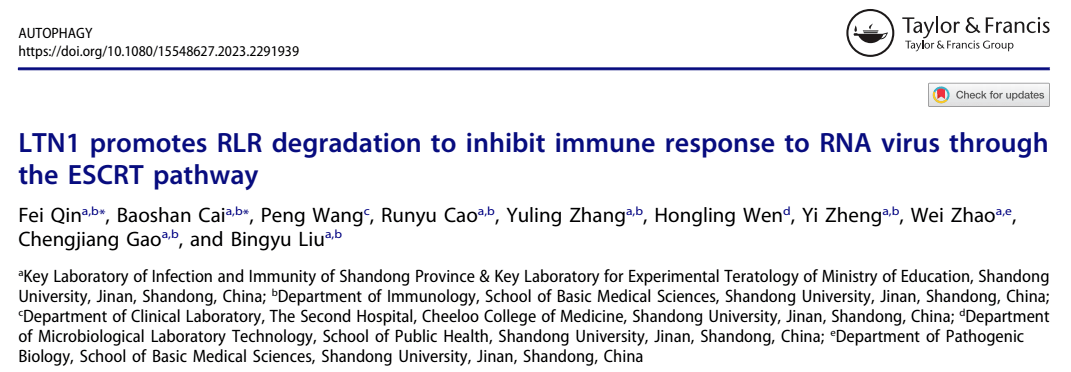 高成江团队揭示LTN1在负调控kongRLR介导的抗病毒先天免疫中的作用_系统_蛋白_实验